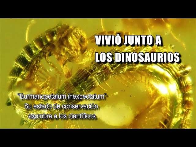 Cómo se Hace el Color Amarillo: Proceso y Curiosidades Reveladas ...