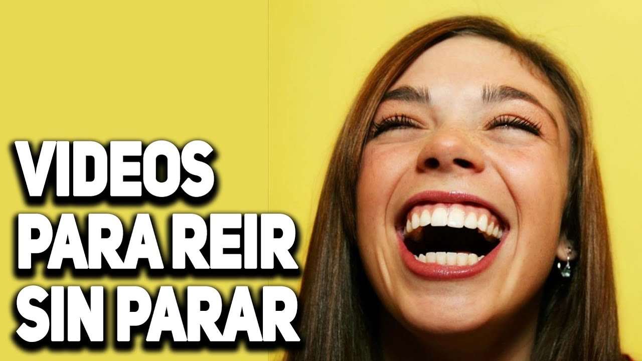 Los videos más divertidos que te harán reír sin parar - Diario Murcia